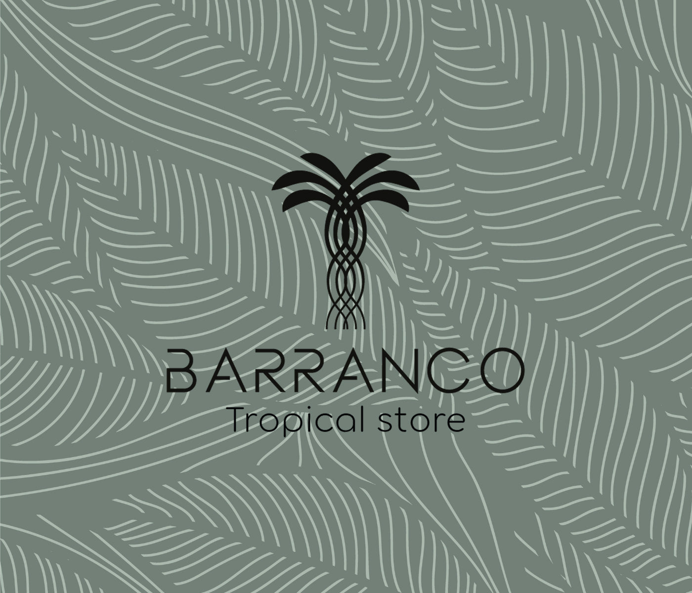 Barranco Tropical Store: The Essence of Tropical Chic with Oxel Consul